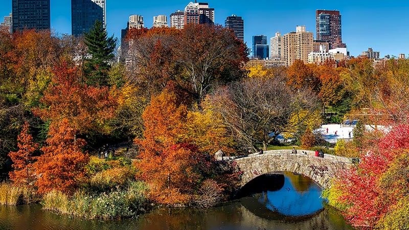 Top Five Things to Do in NYC This Fall | Broadway Direct