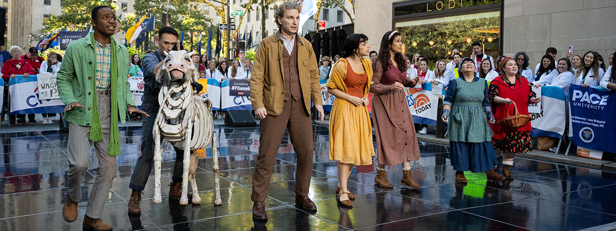 Watch Now: Into the Woods Cast Performs Title Number on TODAY ...