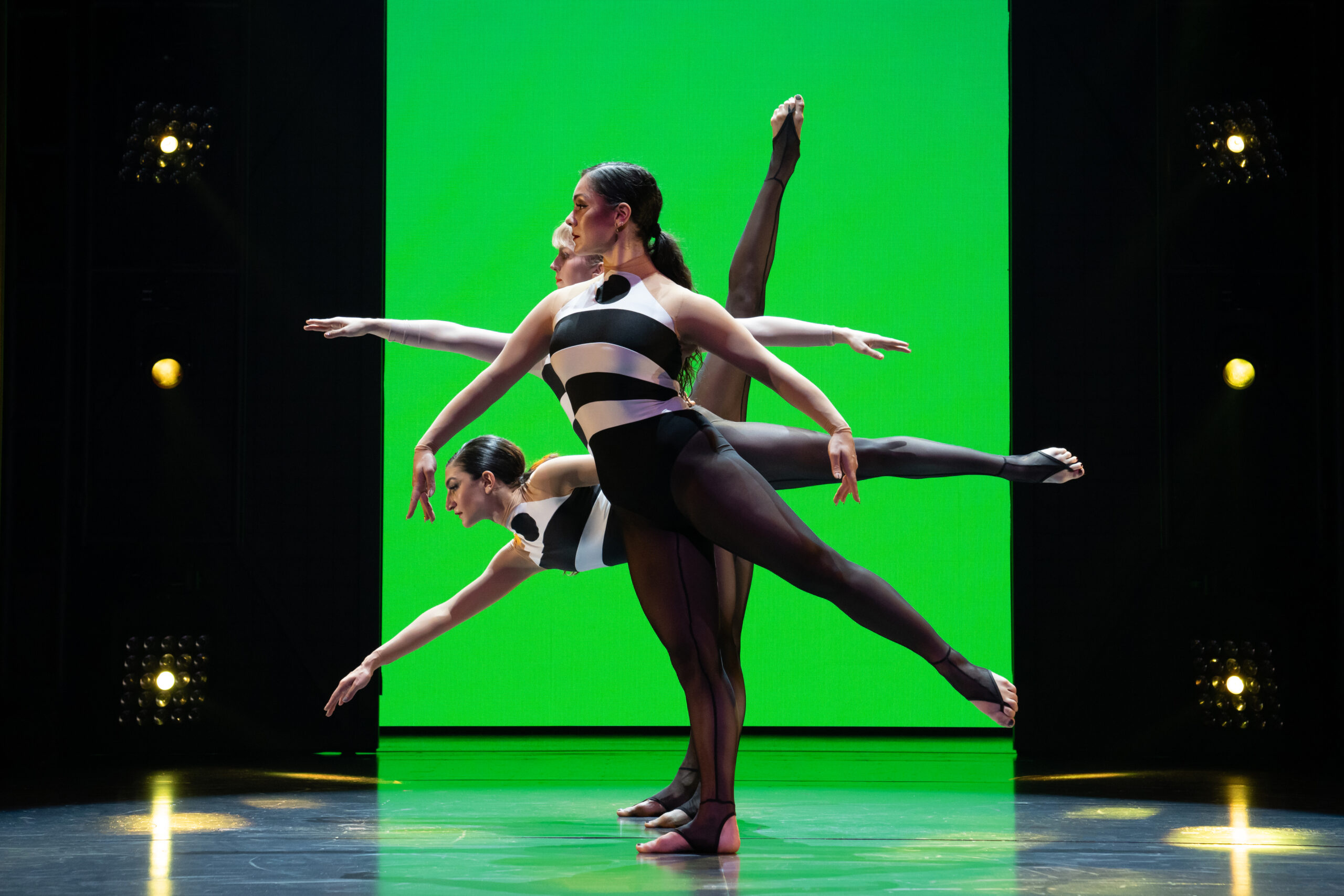 5 Questions with Karli Dinardo of Bob Fosse’s DANCIN’ | Broadway Direct